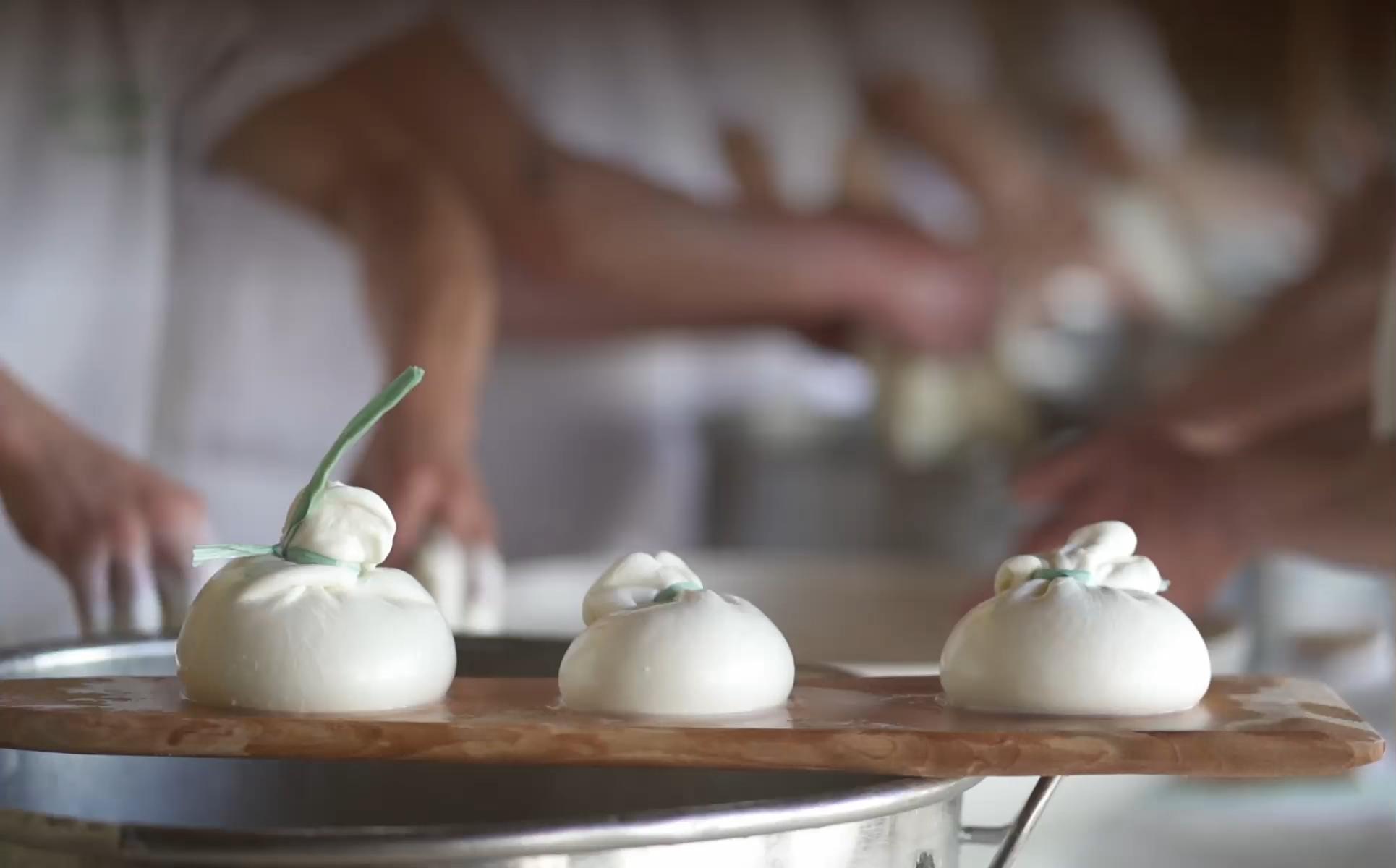 Caseificio Montrone – Gli specialisti della Burrata di Andria IGP